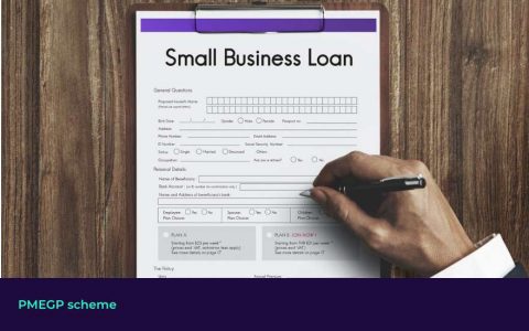 PMEGP scheme: Know subsidy, eligibility, full form