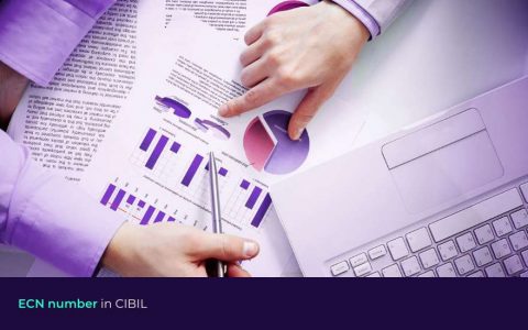 Obtaining an ECN Number in CIBIL: A Step-by-Step Guide