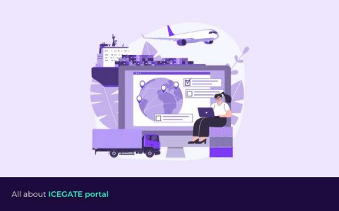 ICEGATE Portal for Shipping Bills, Payments, Track & Check Status