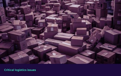 Logistical issues: Meaning, critical issues, and impacts