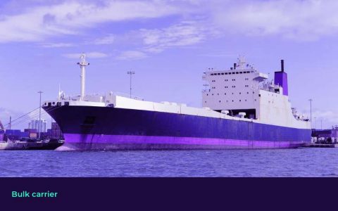 Tata Steel: 1st Indian company to use LNG Capesize carrier