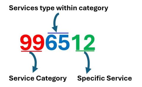 SAC Code in GST: A deeper dive for accurate tax calculations